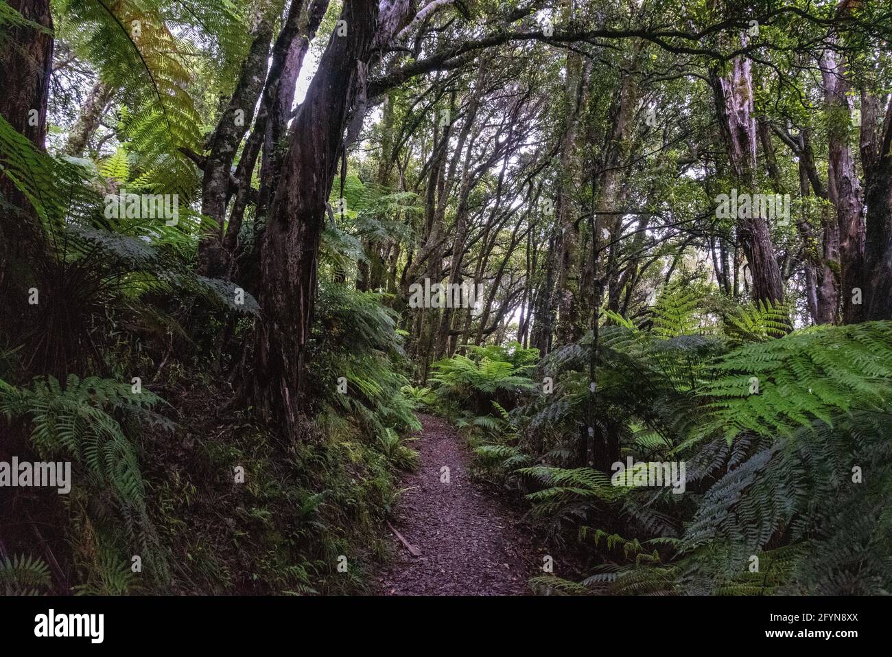 Maori outdoor recreation hi-res stock photography and images - Alamy