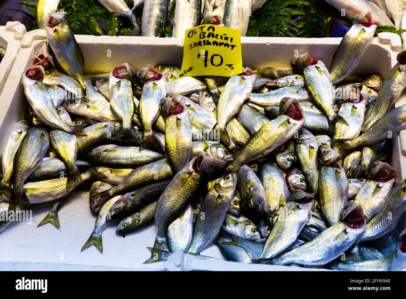 Traditional Turkish fish market in Istanbul. Fresh fish and seafoods ...