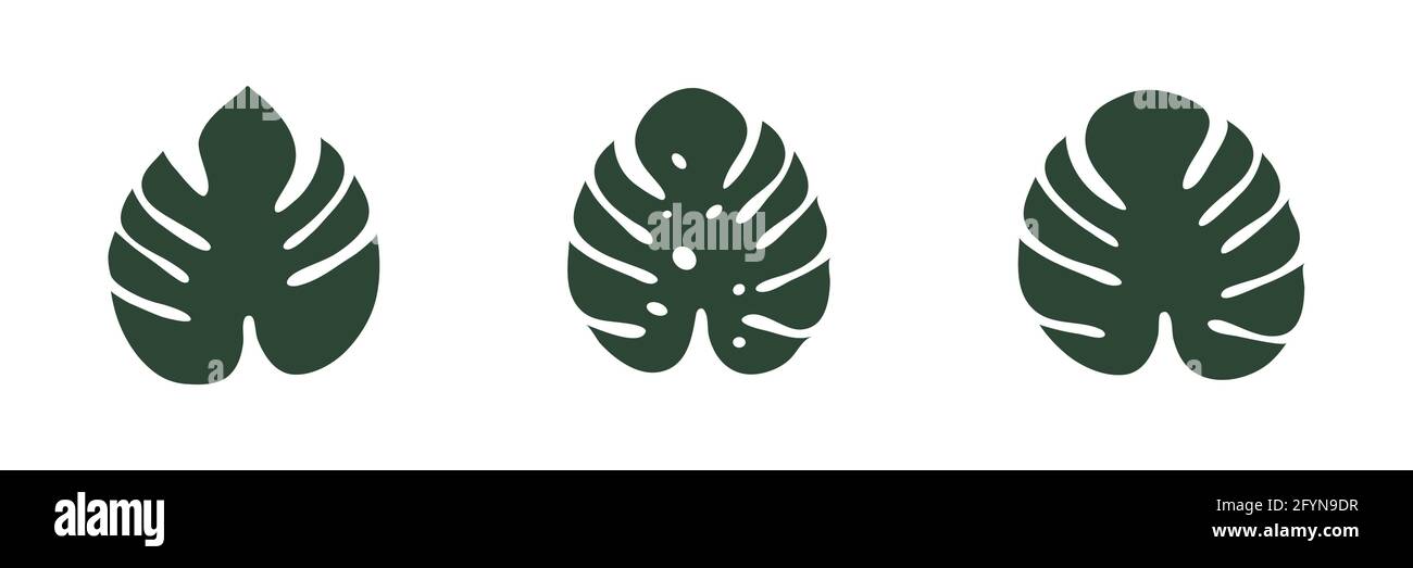 Monstera icon hi-res stock photography and images - Alamy