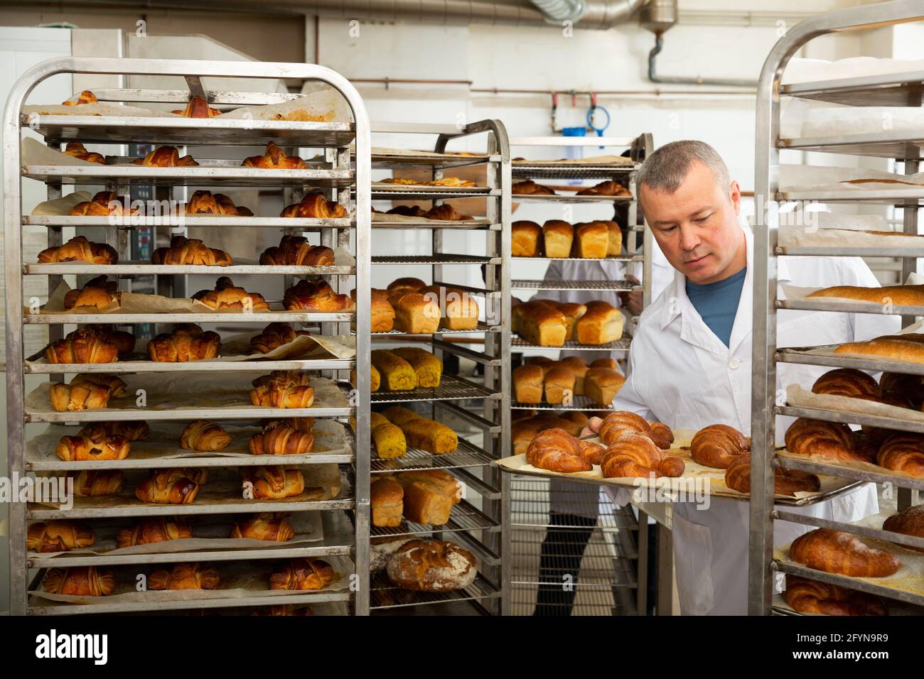 Portrait of positive baker working in bakehouse, putting tray with ...