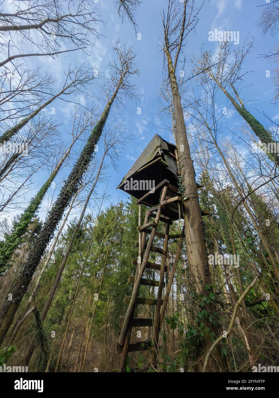 Hunting observatory in the woods by the Swiss lake Katzensee Stock ...