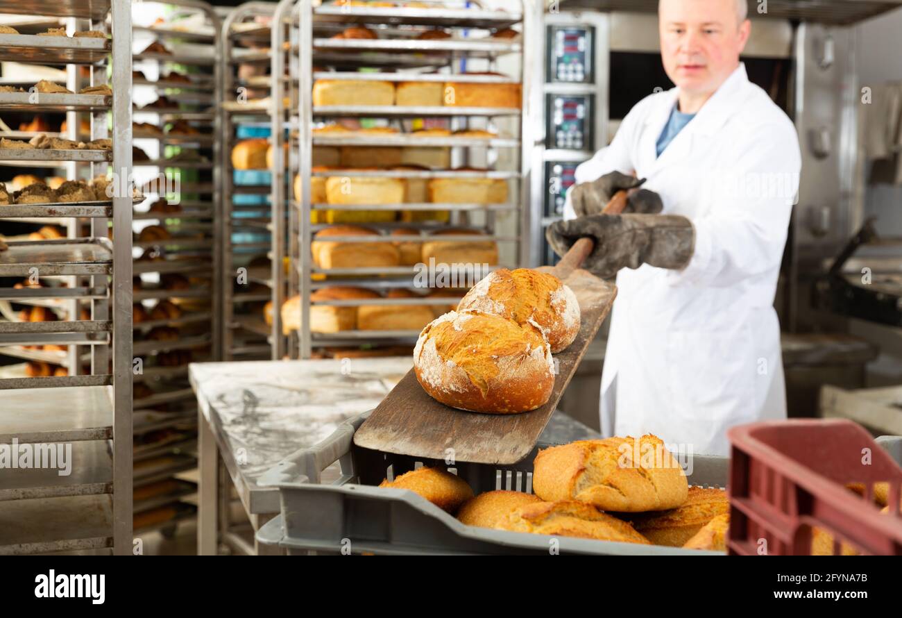 Usual work of baker in a bakery Stock Photo - Alamy