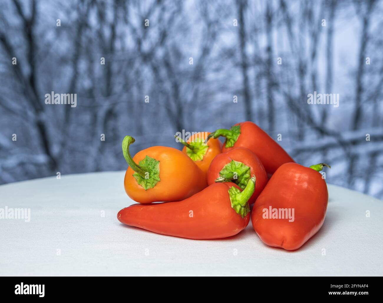 Peppers with a natural winter background of snow-covered trees Stock ...