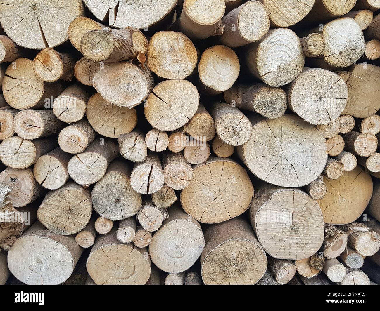 Chopped round wood logs stacked over each other Stock Photo - Alamy