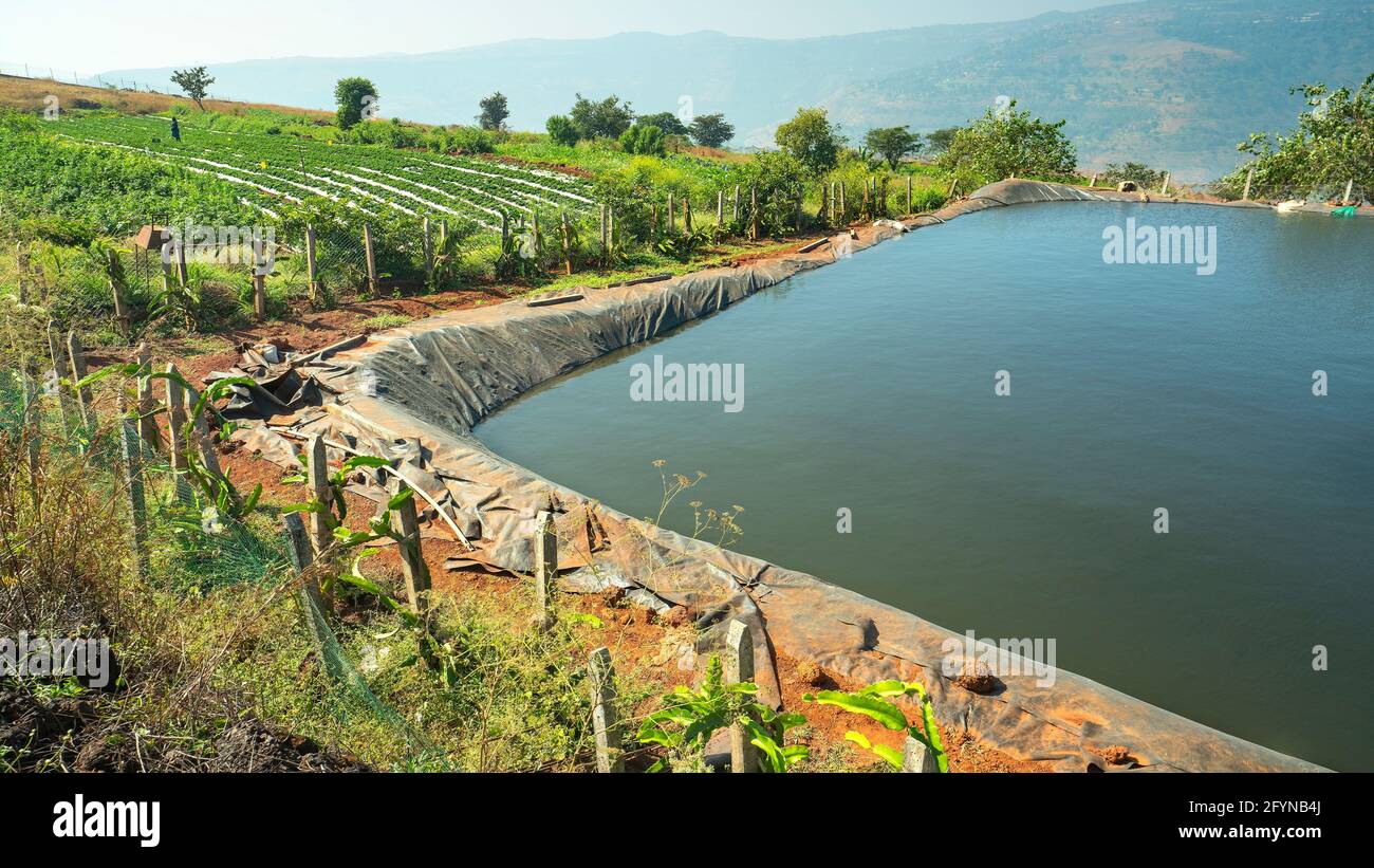 Panchgani ,16, December 2020: Panoramic view of agricultural terrace ...