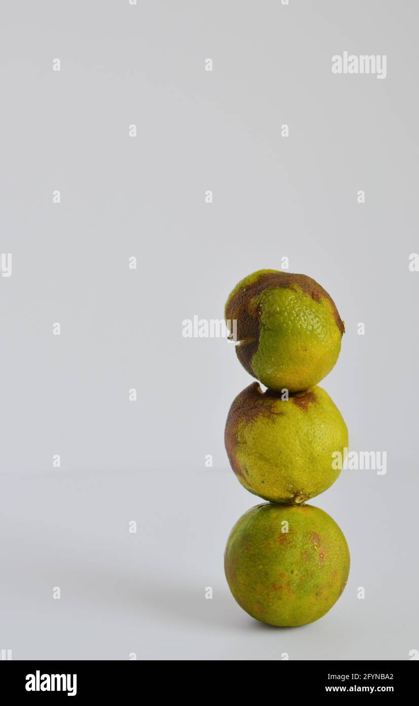 Rotten Lime High Resolution Stock Photography and Images - Alamy