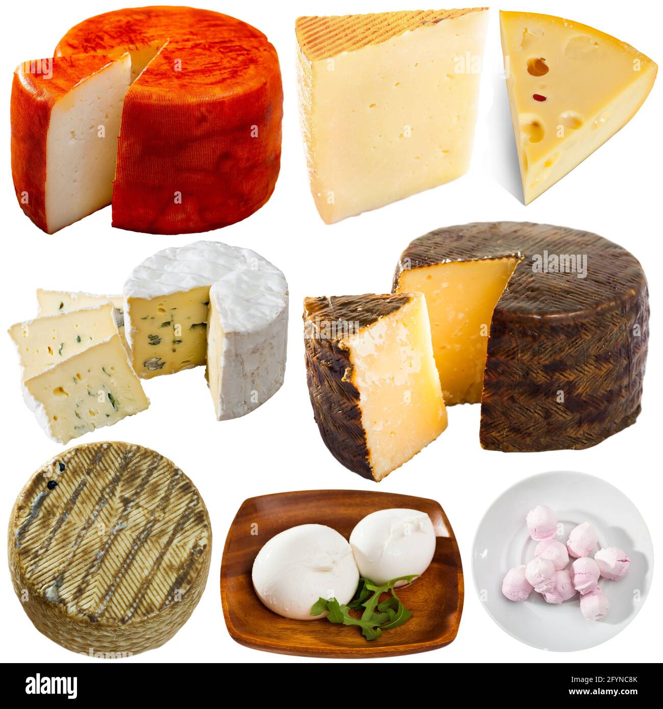 Collection of various hard and soft cheeses isolated on white ...