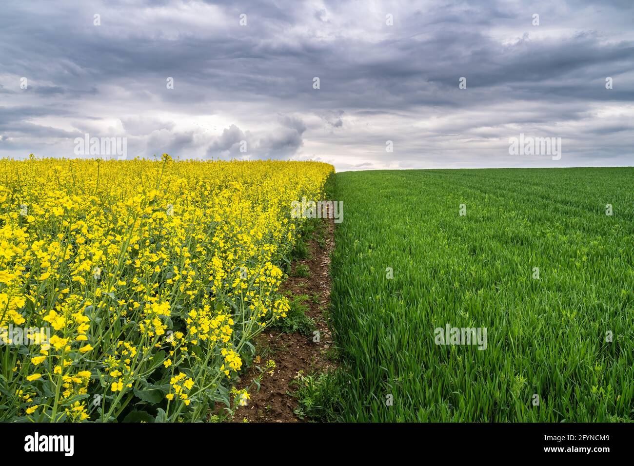Regensdorf hi-res stock photography and images - Alamy