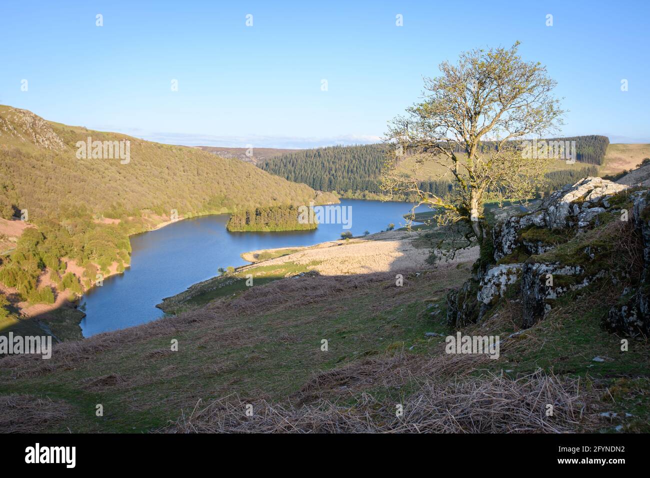 Elan valley reservoirs and dams in spring time in the welsh countryside ...
