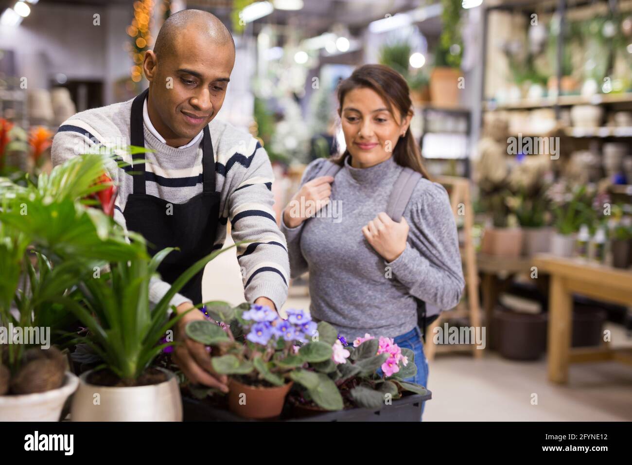 Shop assistant helping woman to choose geranium flowers in flower shop ...