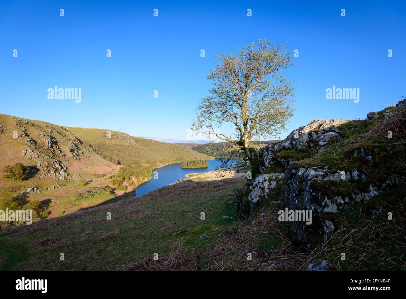 Elan valley reservoirs and dams in spring time in the welsh countryside ...