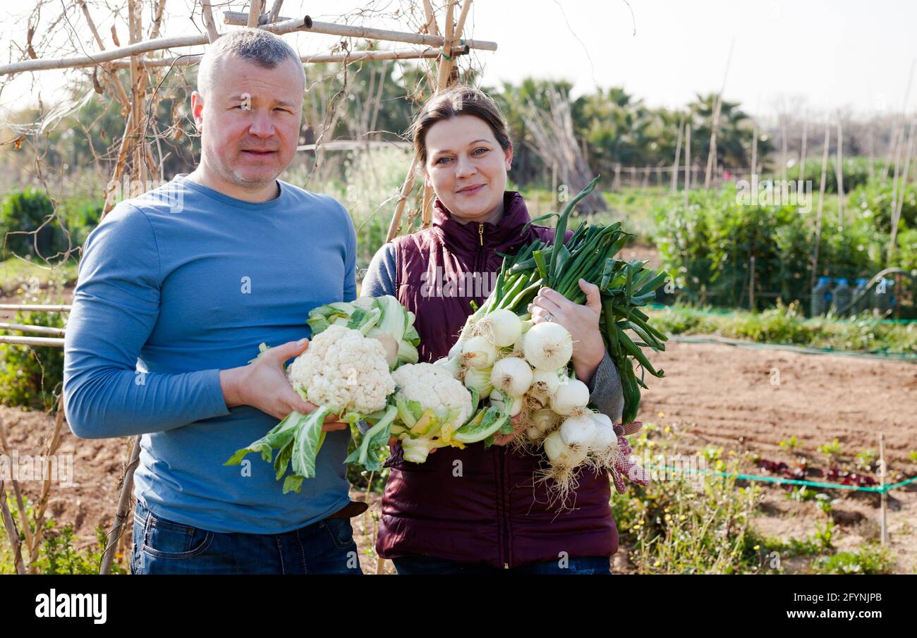 Male and female professional gardeners holding harvest of vegetables in ...