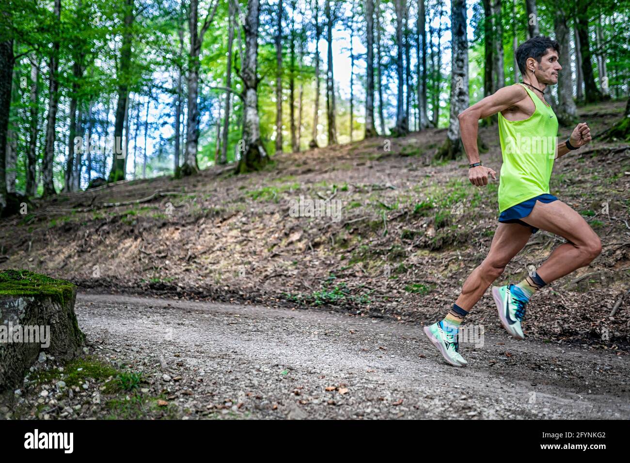 Boy running trail in a mountainous area of and full of trees Stock ...