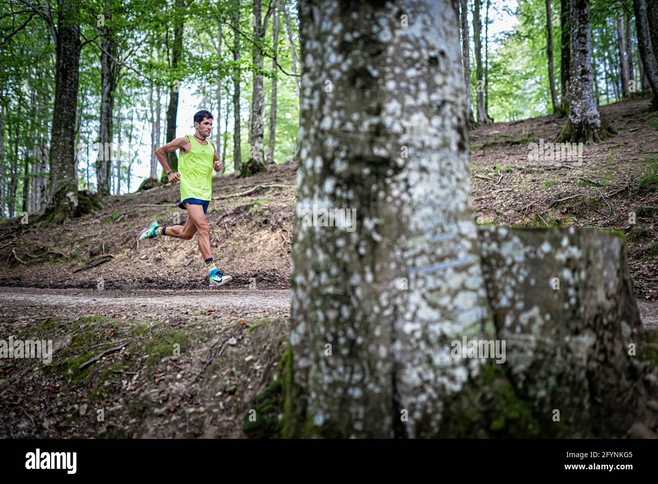 Boy running trail in a mountainous area of and full of trees Stock ...