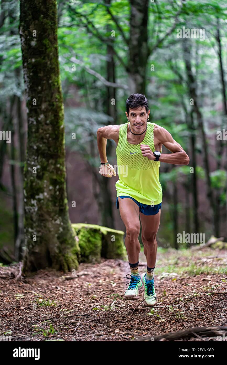 Boy running trail in a mountainous area of and full of trees Stock ...