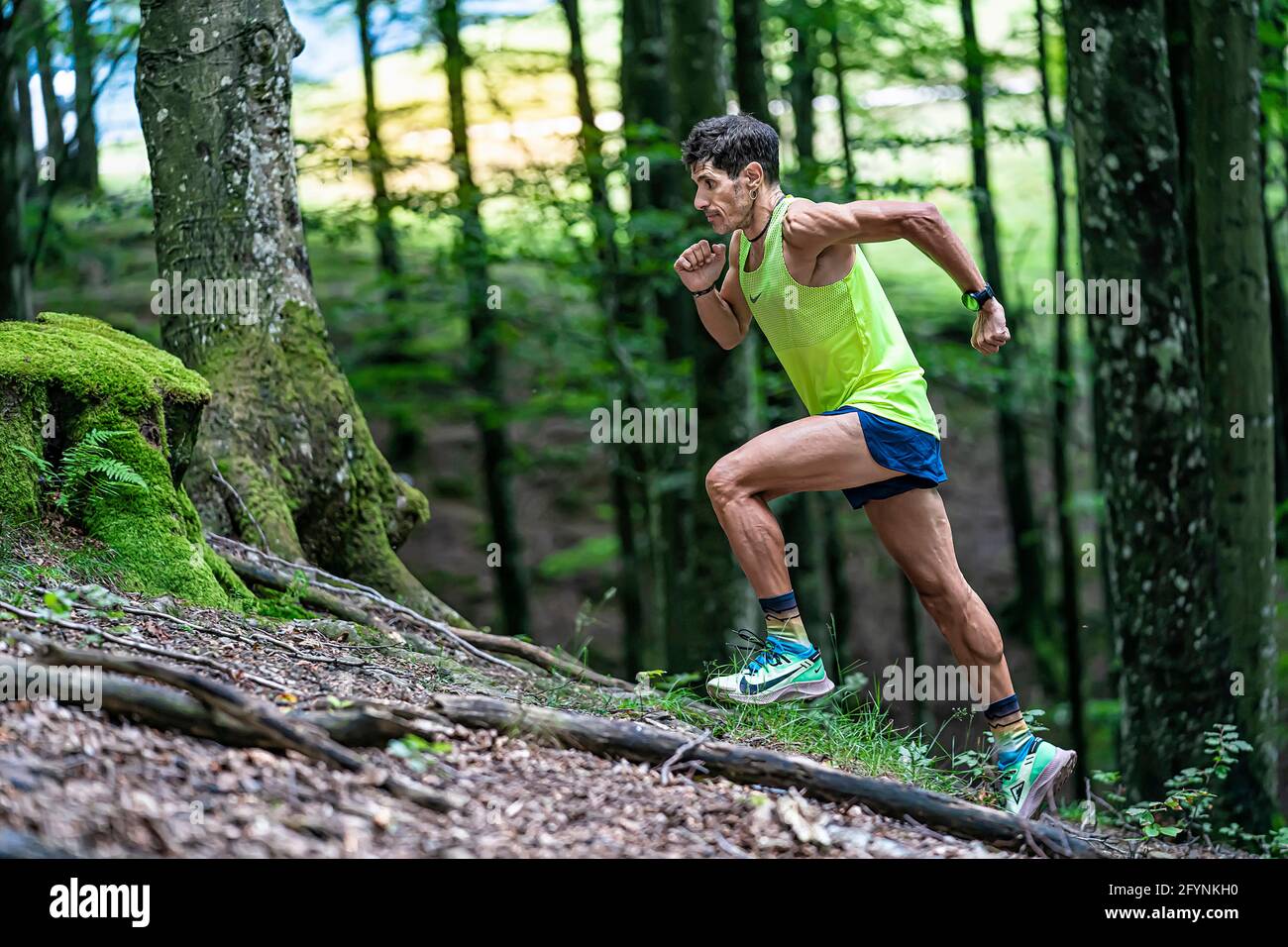 Boy running trail in a mountainous area of and full of trees Stock ...
