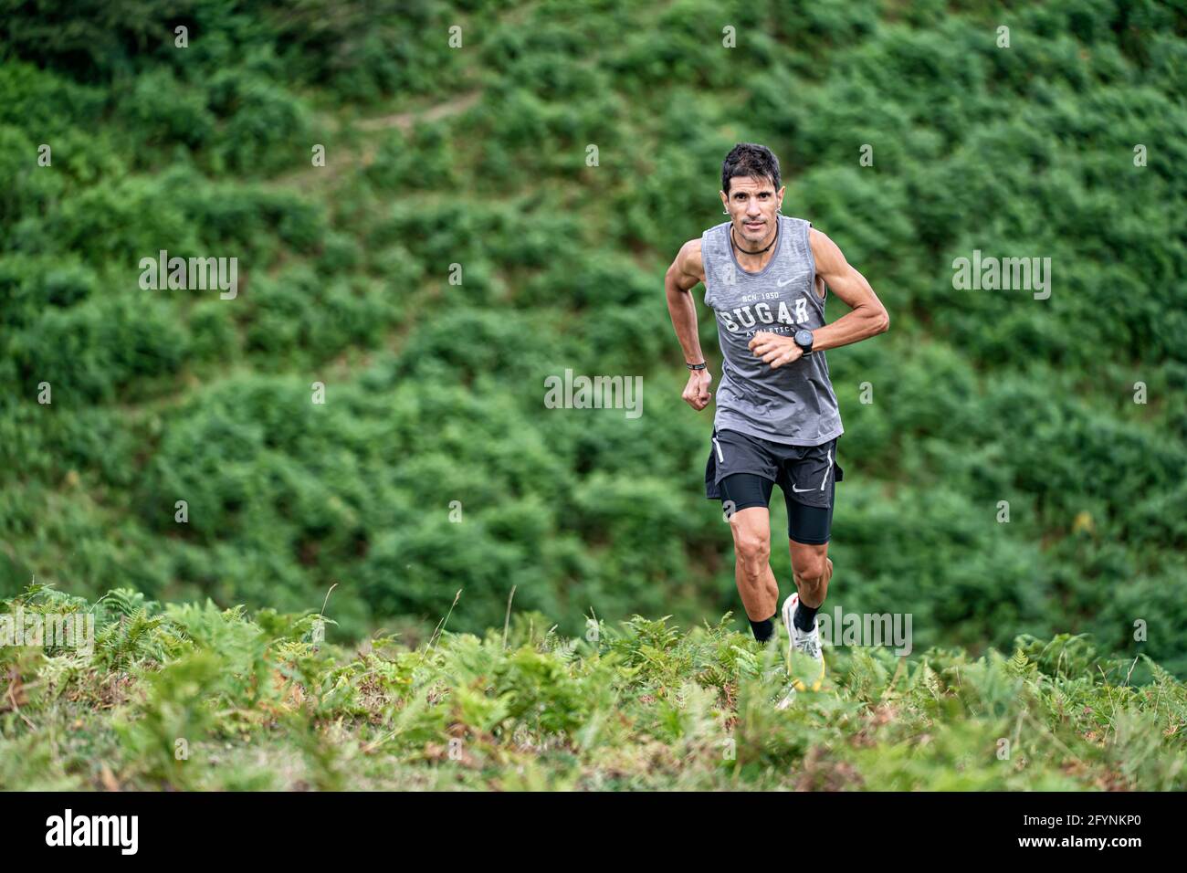 Boy running trail in a mountainous area of and full of trees Stock ...