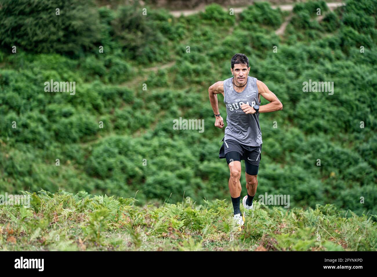 Boy running trail in a mountainous area of and full of trees Stock ...