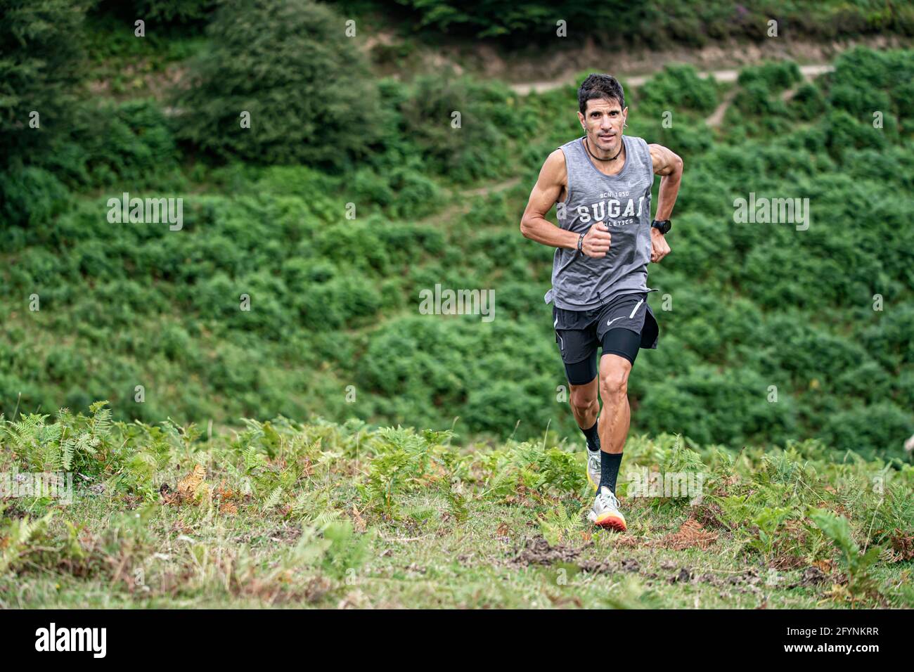 Boy running trail in a mountainous area of and full of trees Stock ...