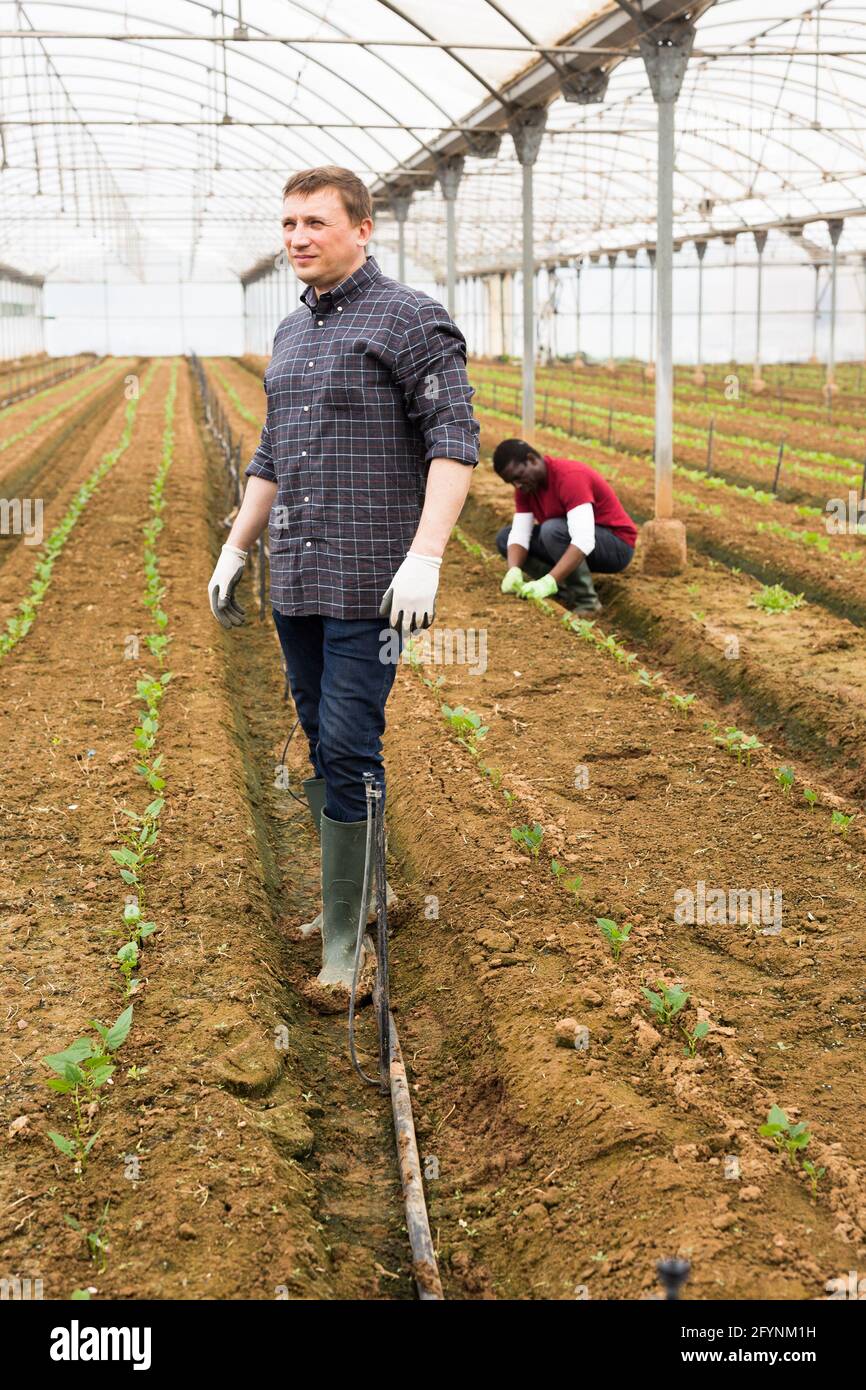 Portrait of experienced adult farmer during spring works in modern ...
