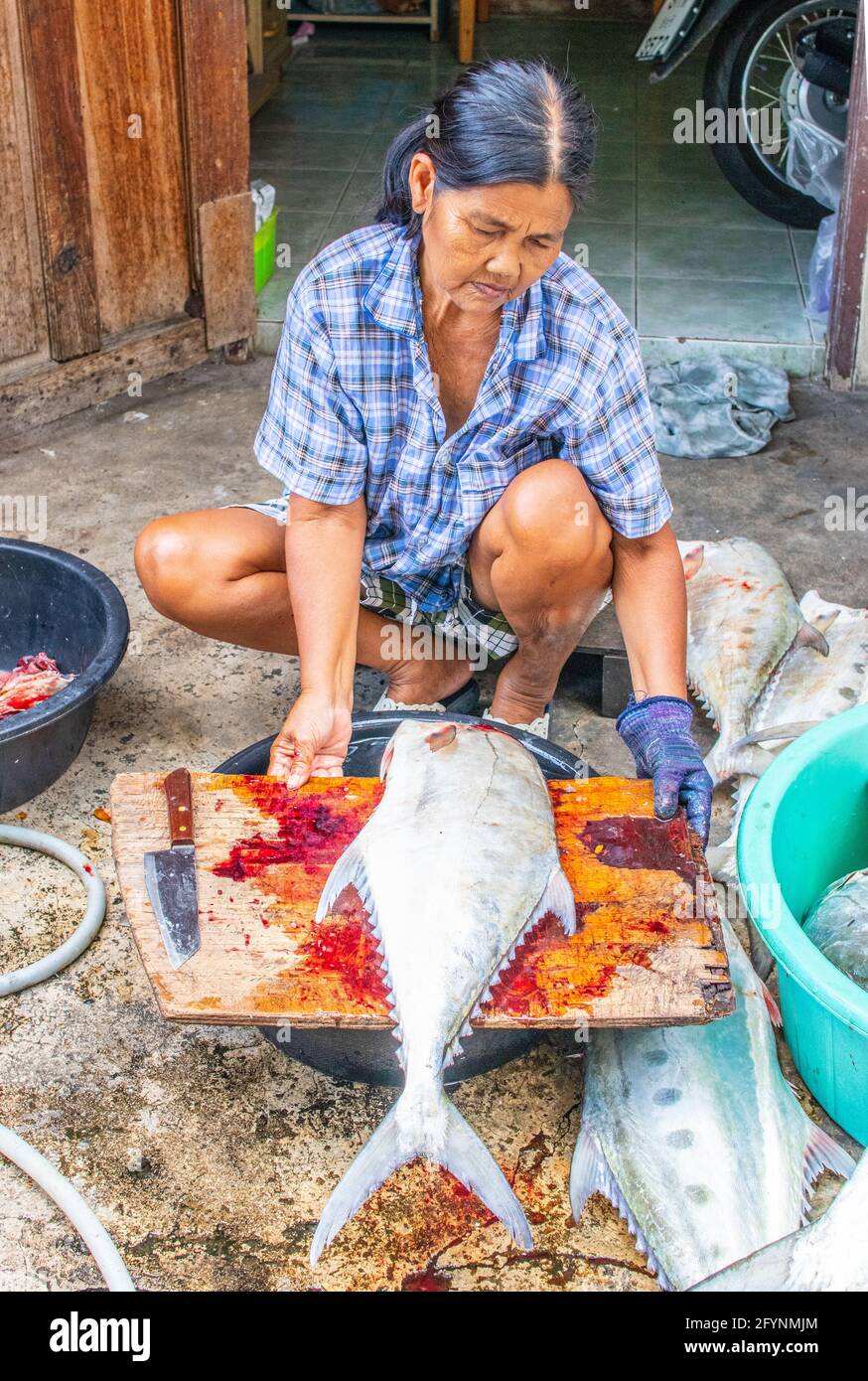 BANG SARAY, THAILAND - May 20, 2021: Freshly caught fish from the sea ...