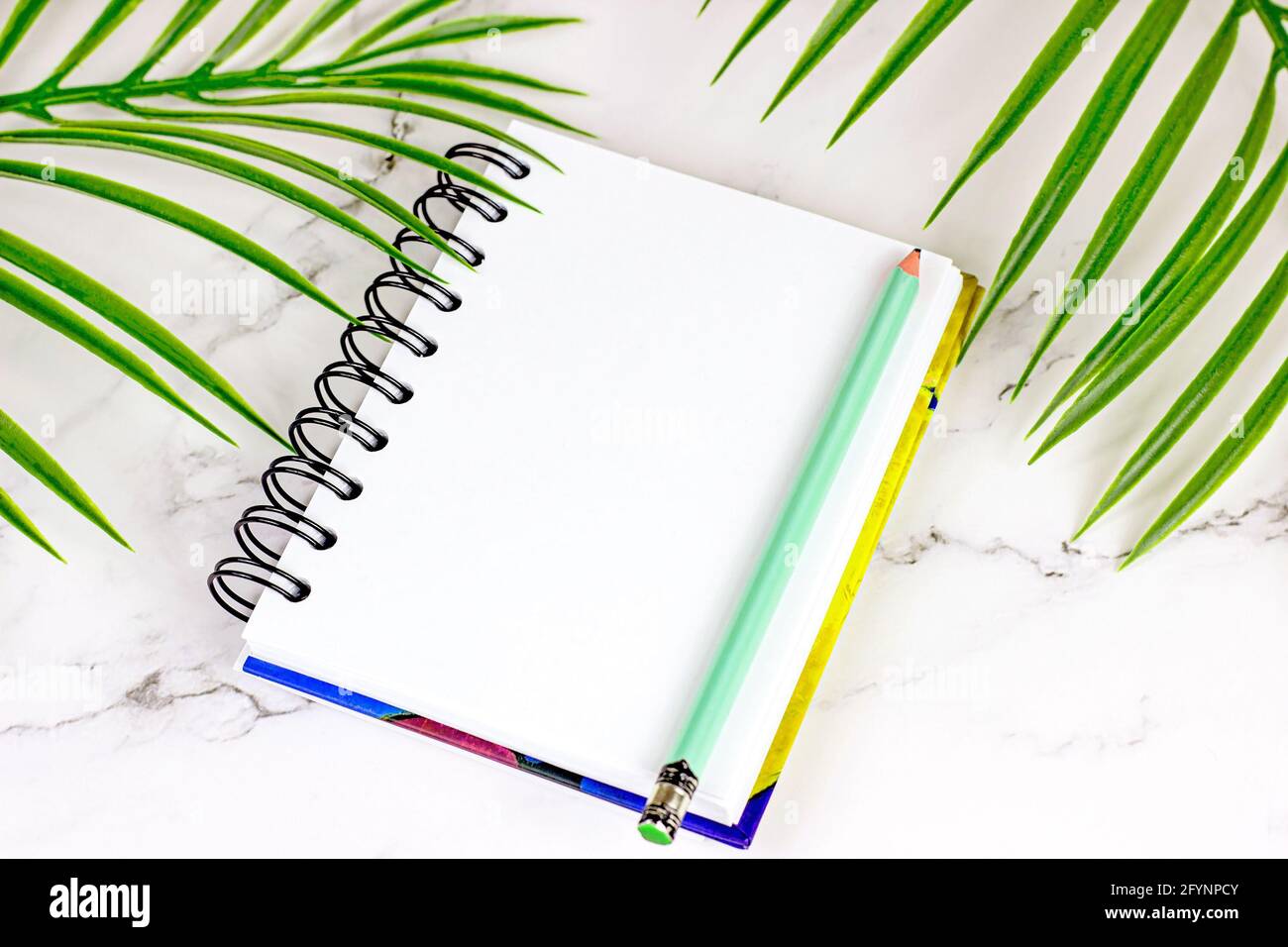 White notebook paper sheet with green pencil and tropical palm leaves ...