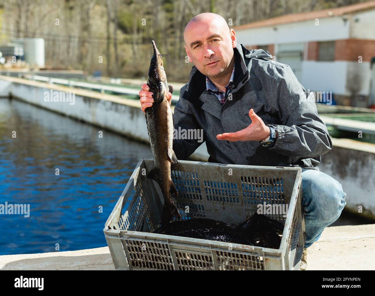 Portrait of man fish farm owner demonstrating freshly caught fish Stock ...