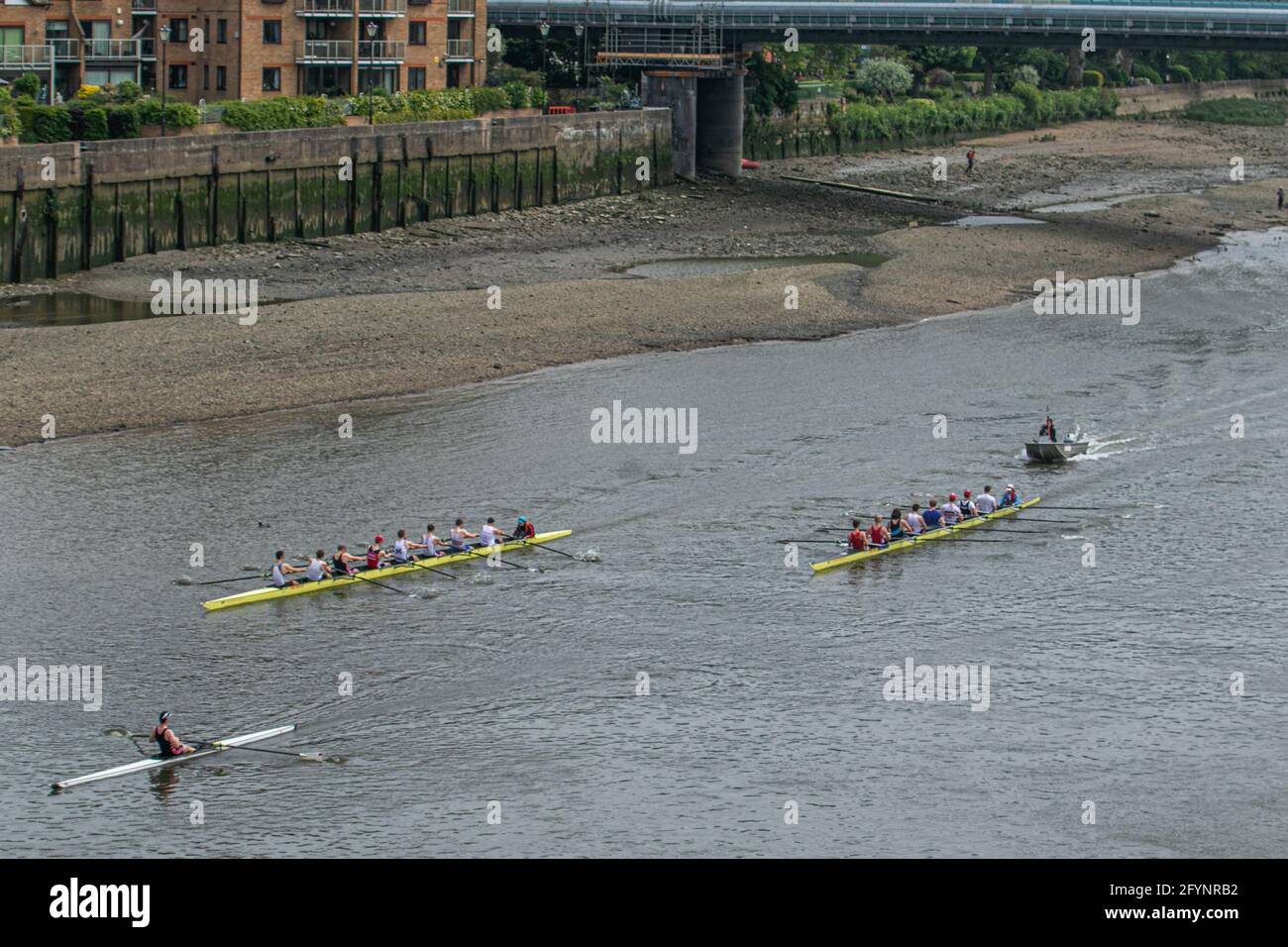PUTNEY LONDON 29 May 2021 . Rowers practicing on the River Thames near ...