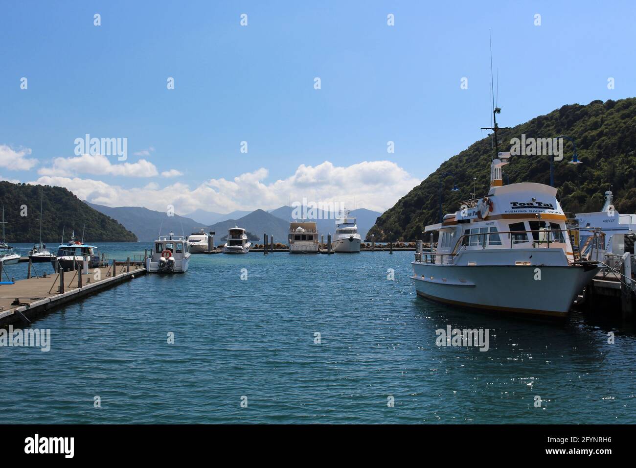 Marina of the city of Picton in New Zealand Stock Photo - Alamy