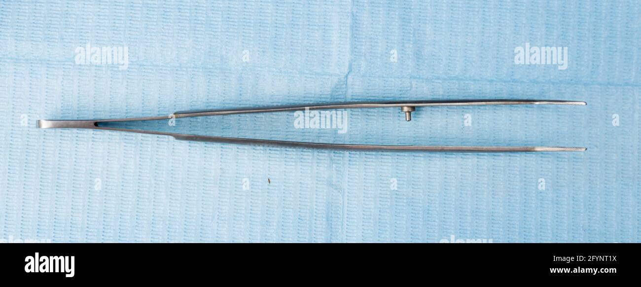 Dental instrument - forceps on stainless steel handle Stock Photo - Alamy