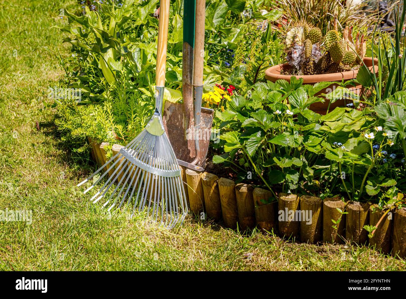 Mud hook hi-res stock photography and images - Alamy