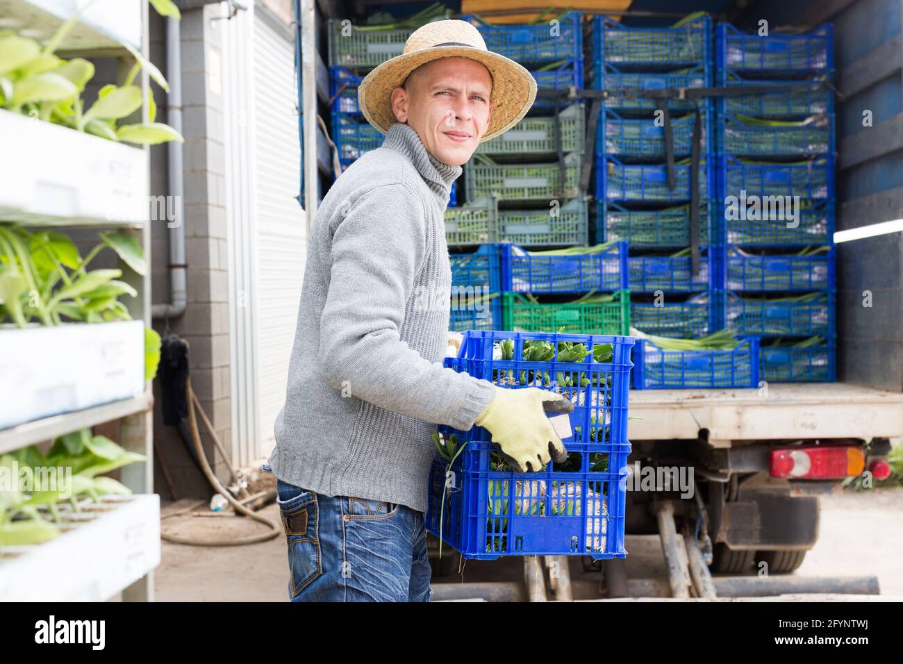 Loading vegetables into lorry hi-res stock photography and images - Alamy