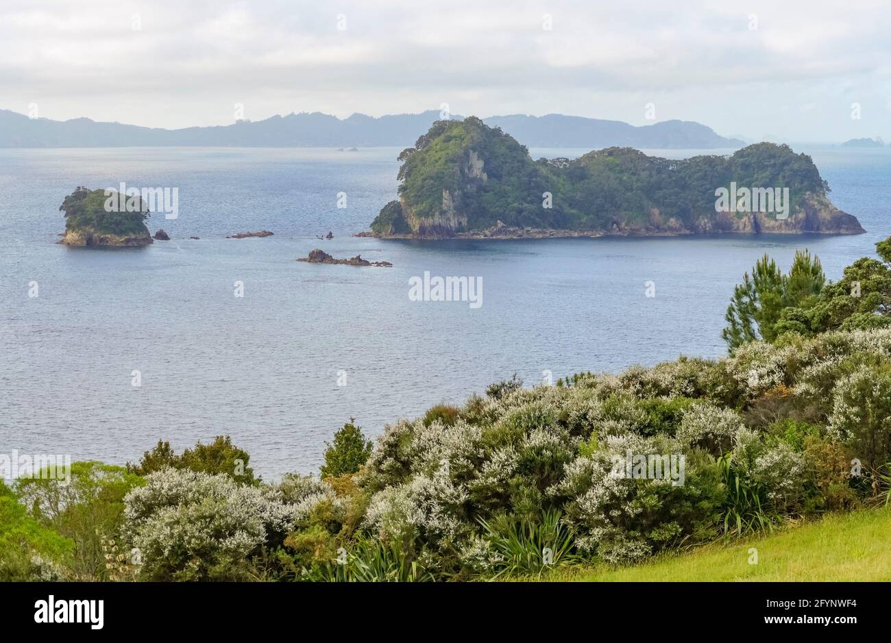 Stingray Bay New Zealand High Resolution Stock Photography and Images ...
