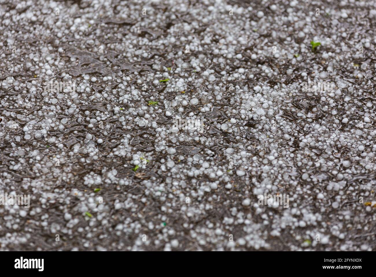 White ice hail on the asphalt road surface after summer storm at ...