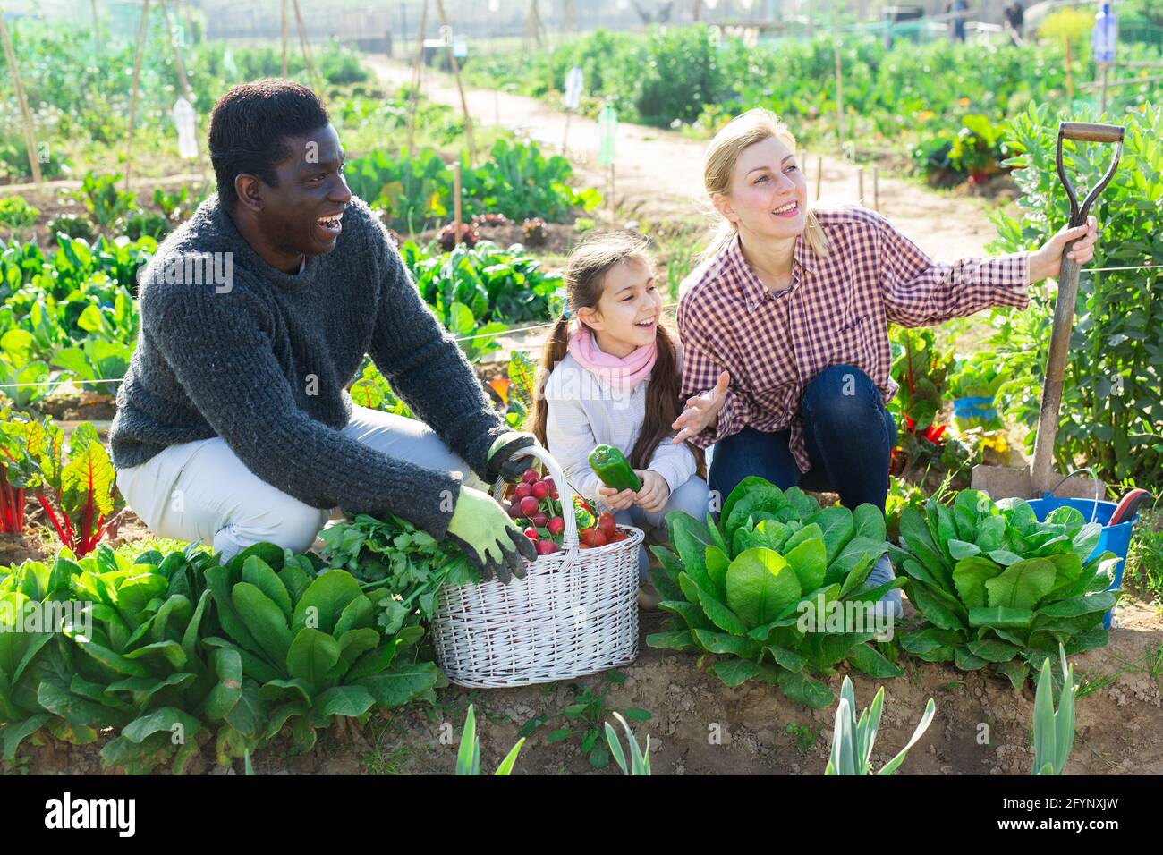 Multinational family hi-res stock photography and images - Alamy