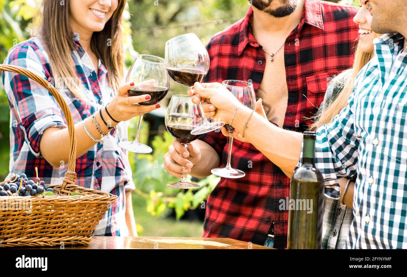 Young Friends Having Fun Outdoor Clinking Red Wine Glasses Happy