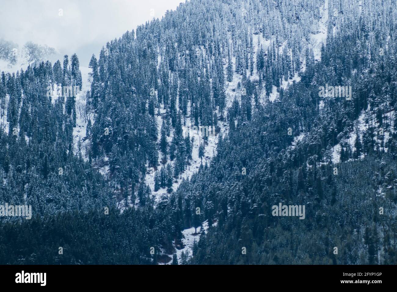 Various views of Manali, Himachal Pradesh Stock Photo - Alamy