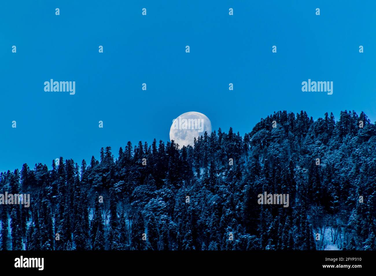 The moon setting over snowy trees Stock Photo - Alamy