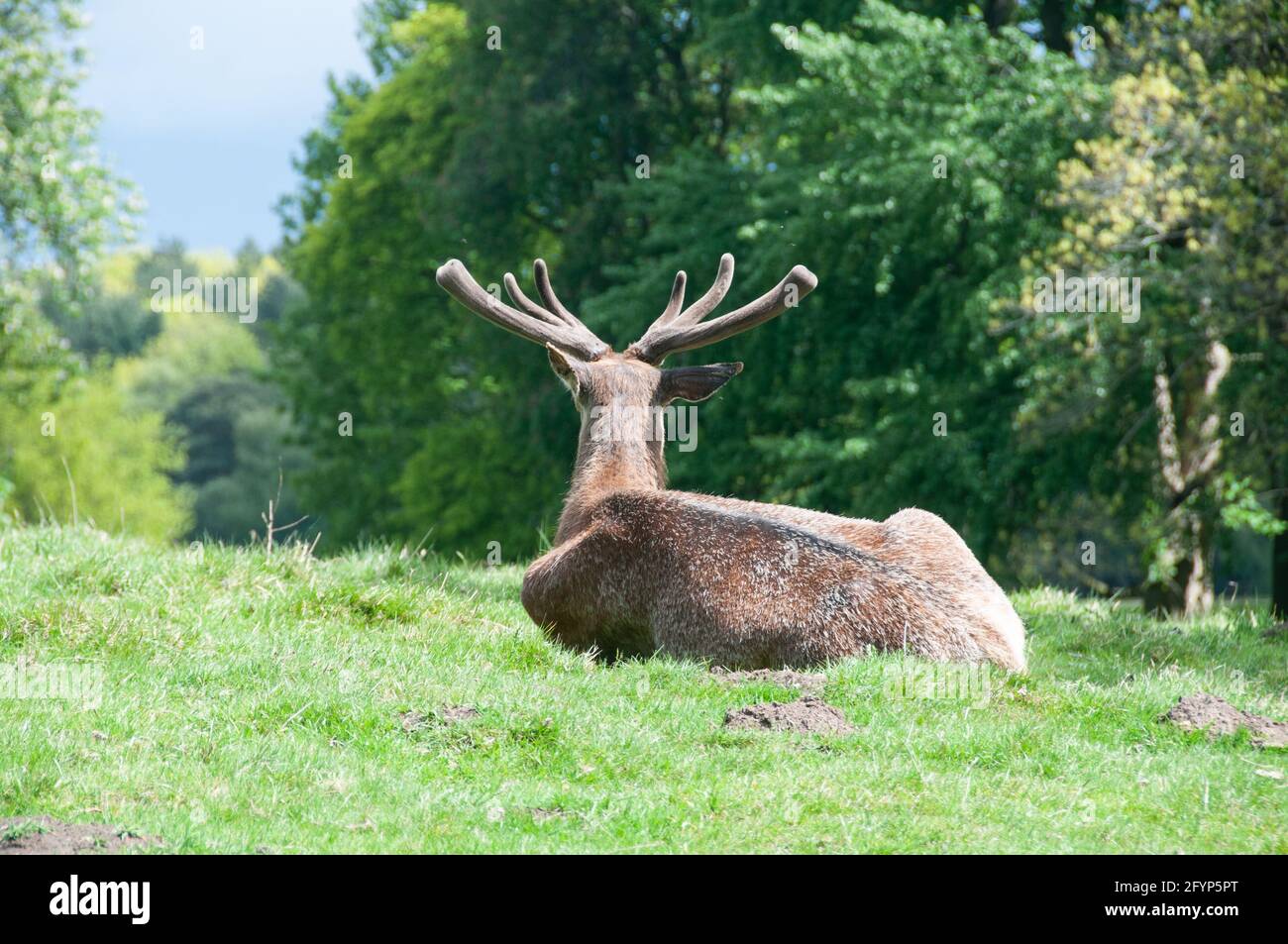 A day out in Tatton Park & Tatton Hall Gardens Stock Photo - Alamy