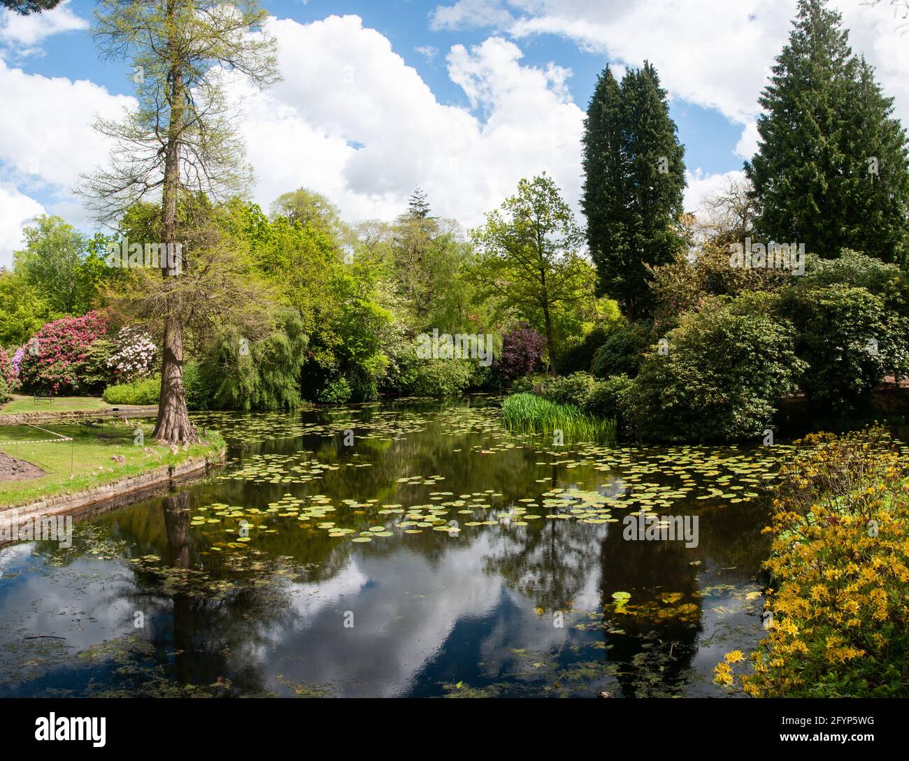 A day out in Tatton Park & Tatton Hall Gardens Stock Photo - Alamy