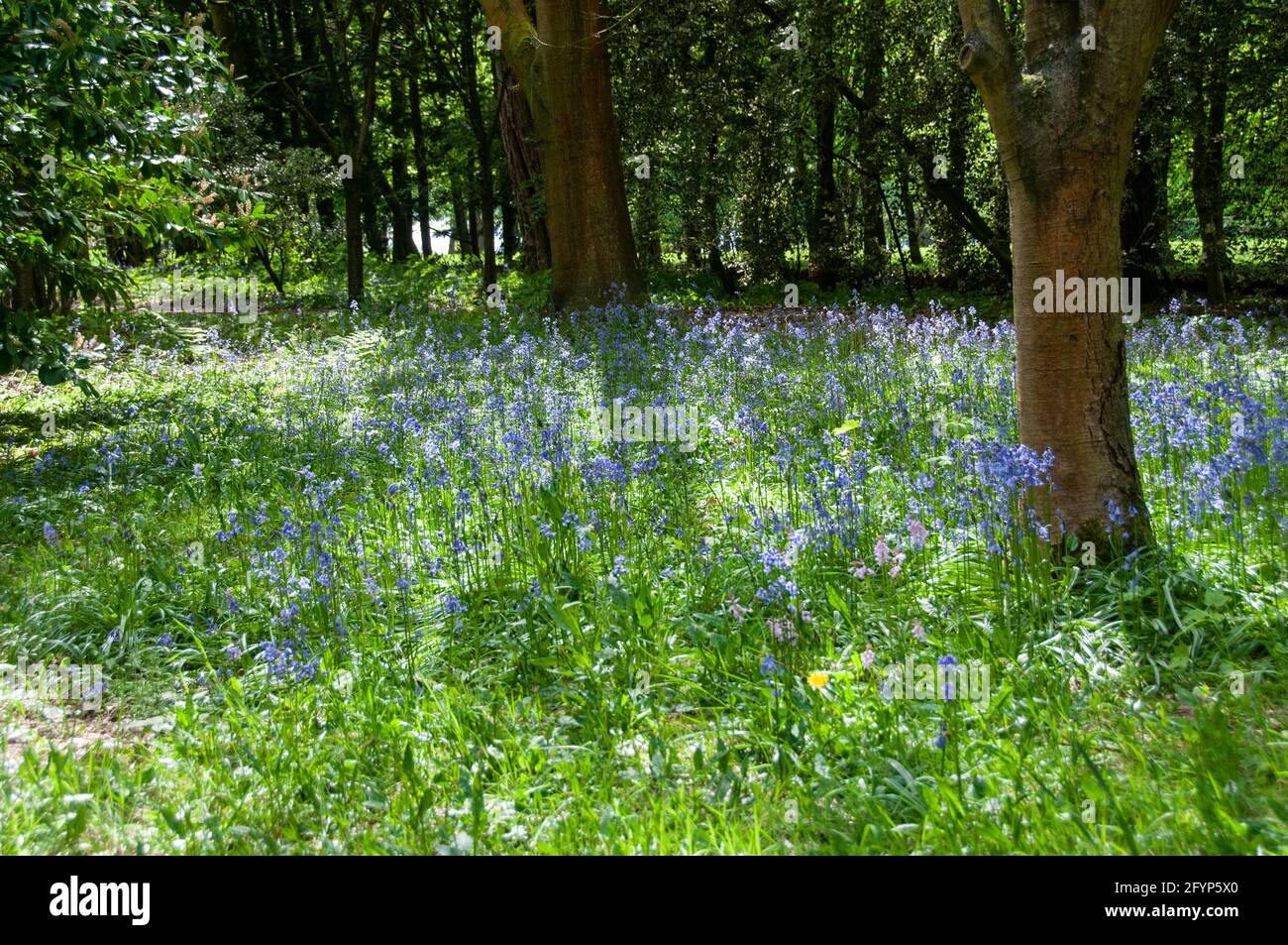A day out in Tatton Park & Tatton Hall Gardens Stock Photo - Alamy