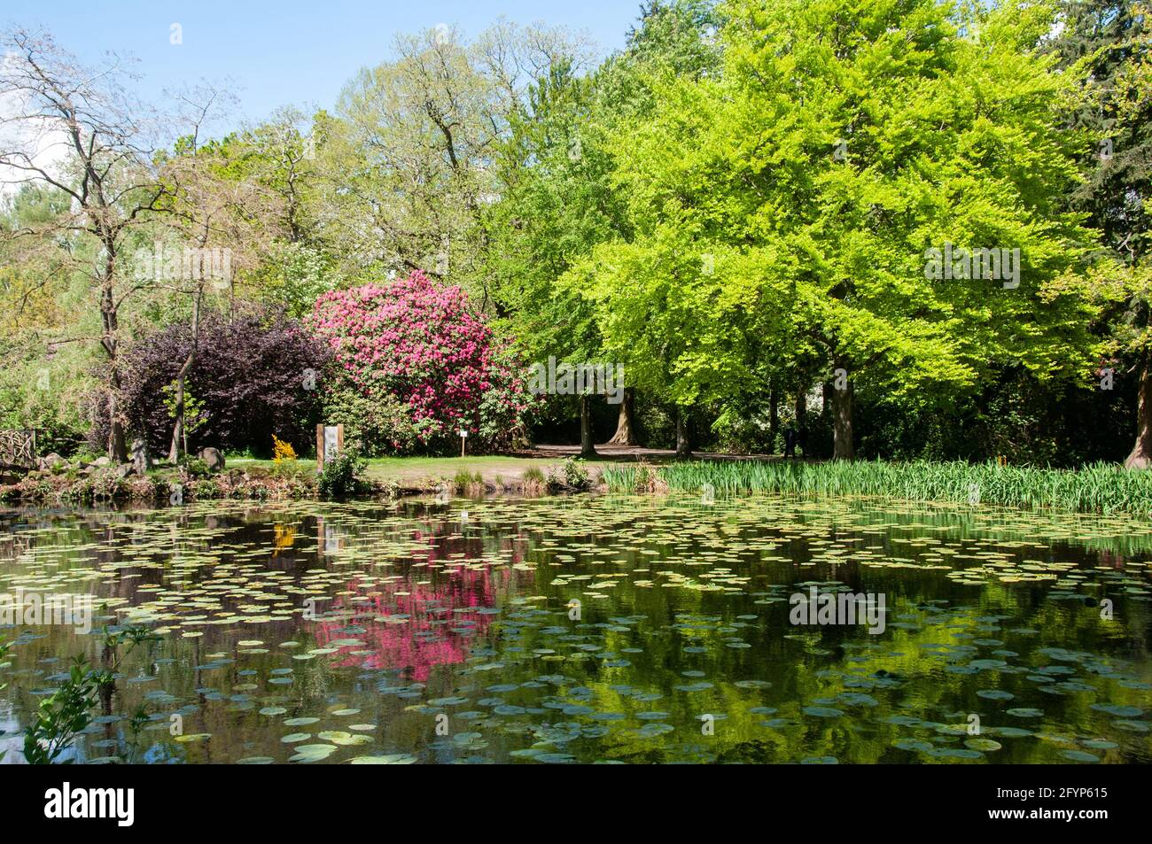 A day out in Tatton Park & Tatton Hall Gardens Stock Photo - Alamy