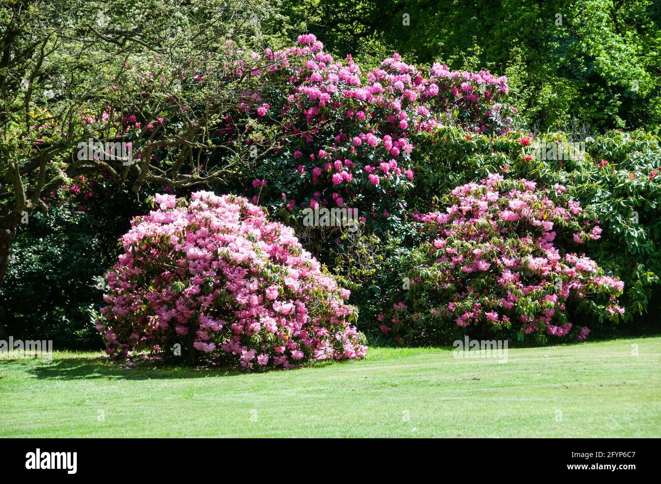 A day out in Tatton Park & Tatton Hall Gardens Stock Photo - Alamy