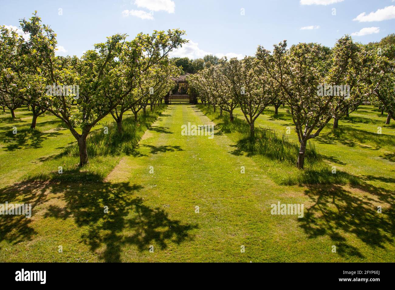 A day out in Tatton Park & Tatton Hall Gardens Stock Photo - Alamy