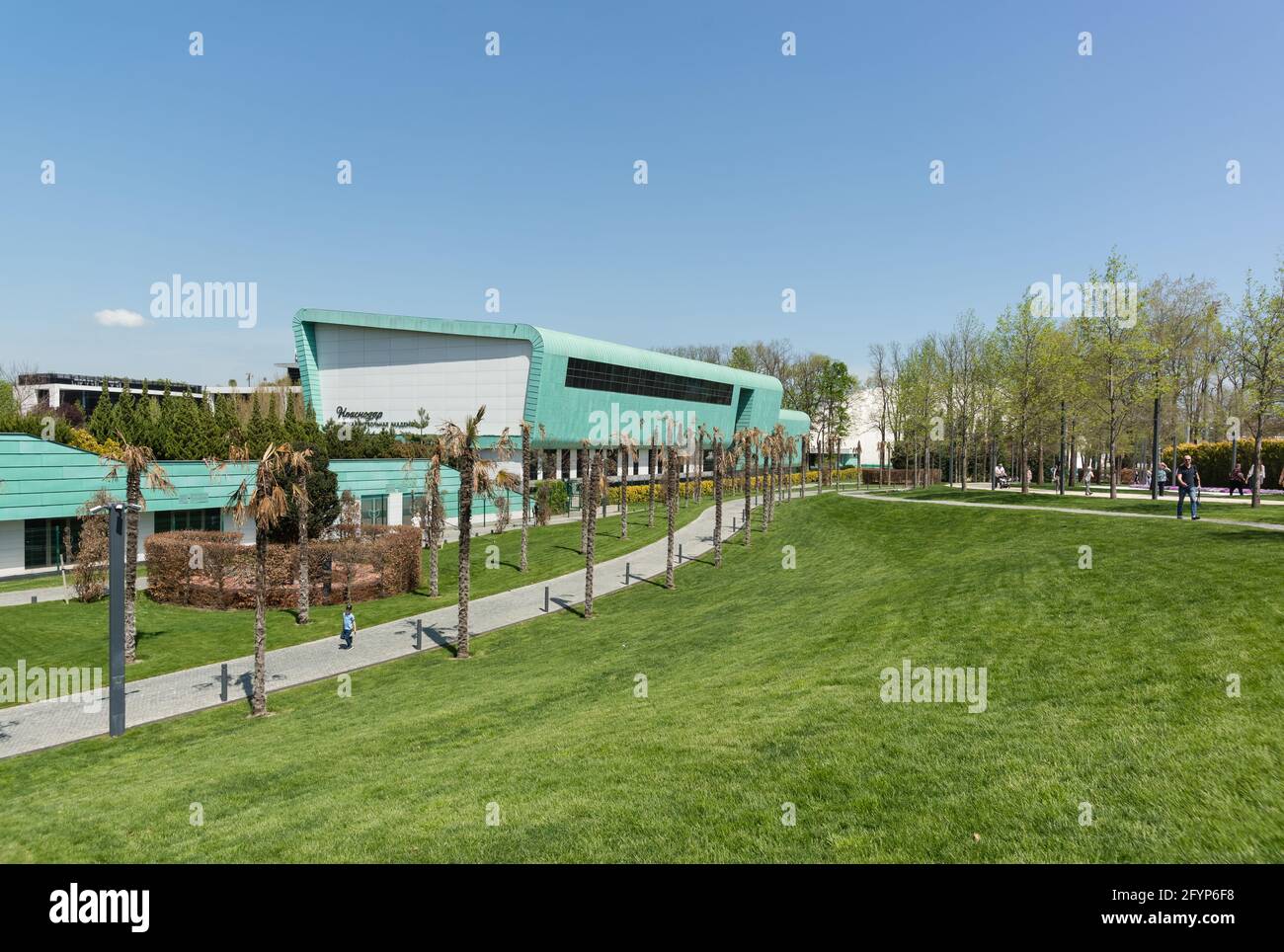 Krasnodar, Russia-may 02, 2021: Dried palm trees and a spring lawn in ...