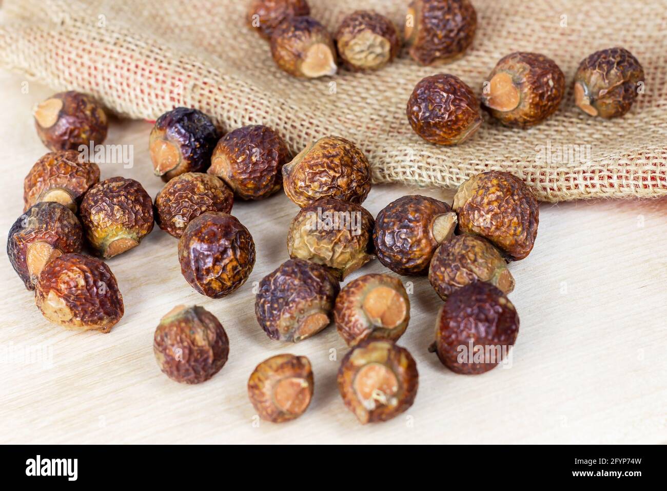 Sapindus hi-res stock photography and images - Alamy