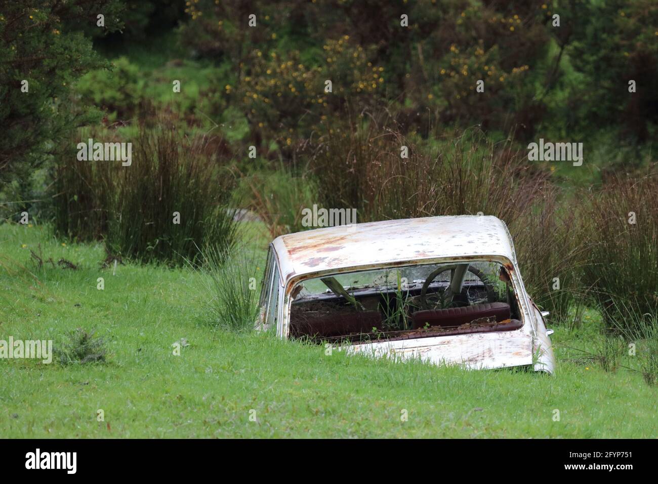 Car wracks hi-res stock photography and images - Alamy
