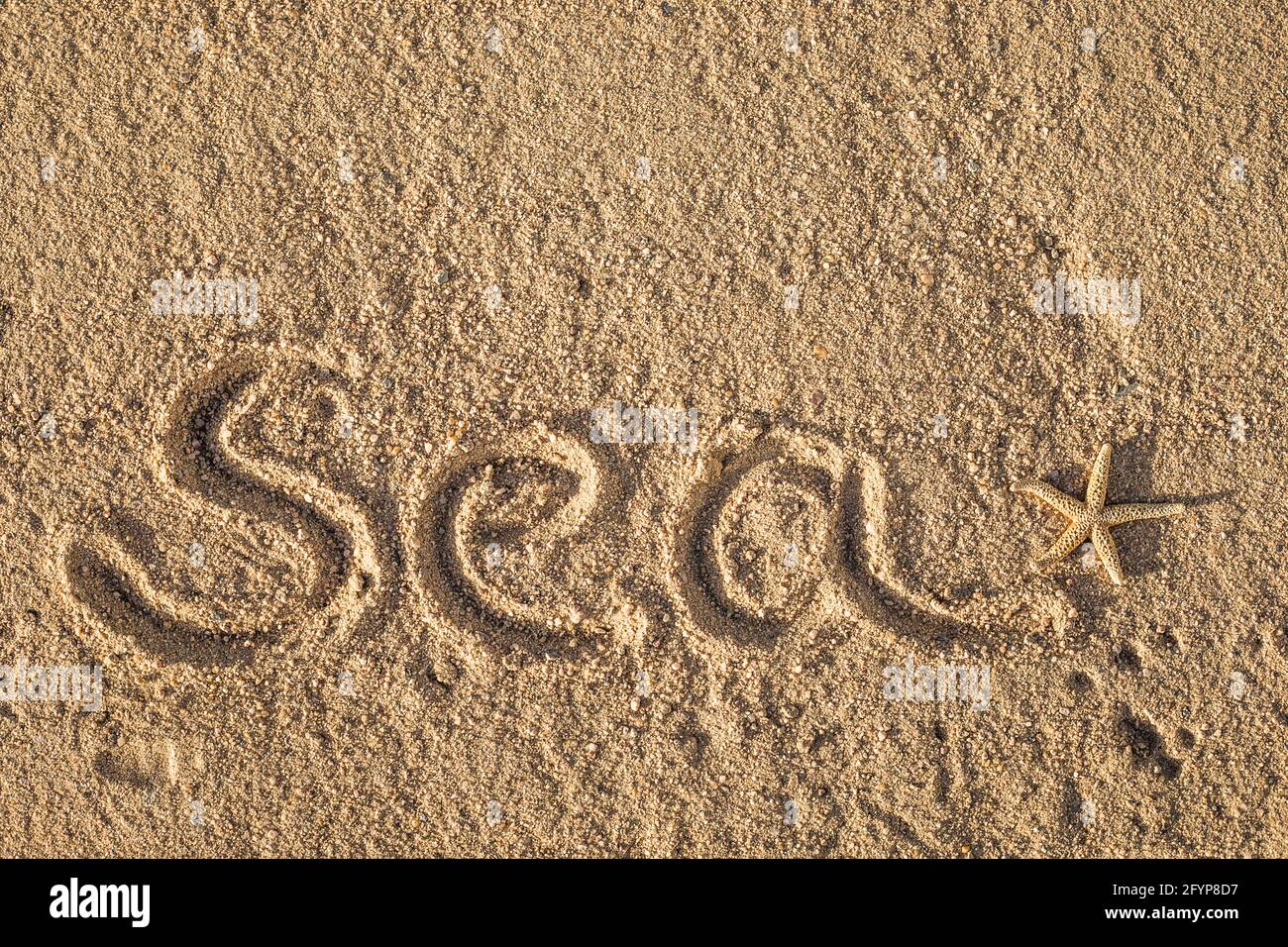 Vacation. Word Sea written in the sand on the beach Stock Photo - Alamy