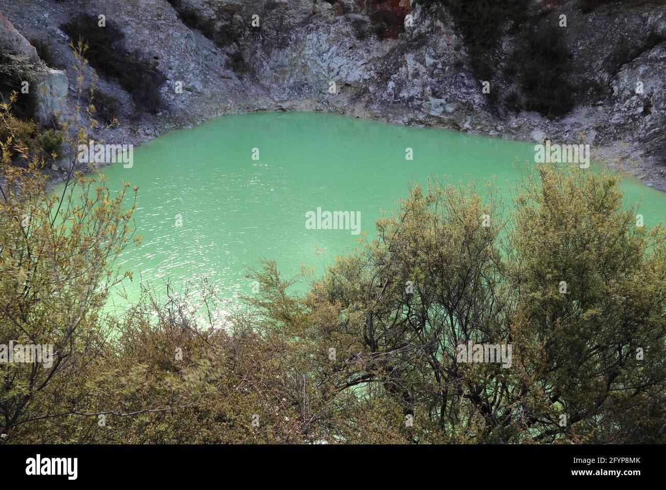 Wai-O-Tapu Thermalwunderland - Roto Karikitea Krater / Wai-O-Tapu ...