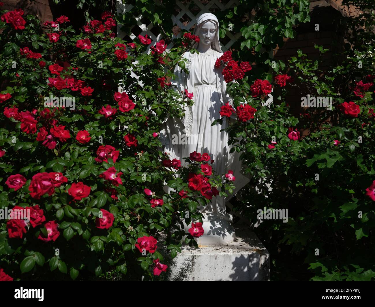 Miraculous statue hi-res stock photography and images - Alamy